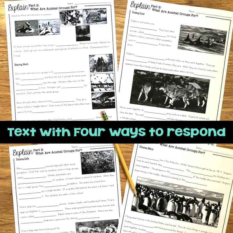 Animal Groups 5E Unit Plan for Third Grade