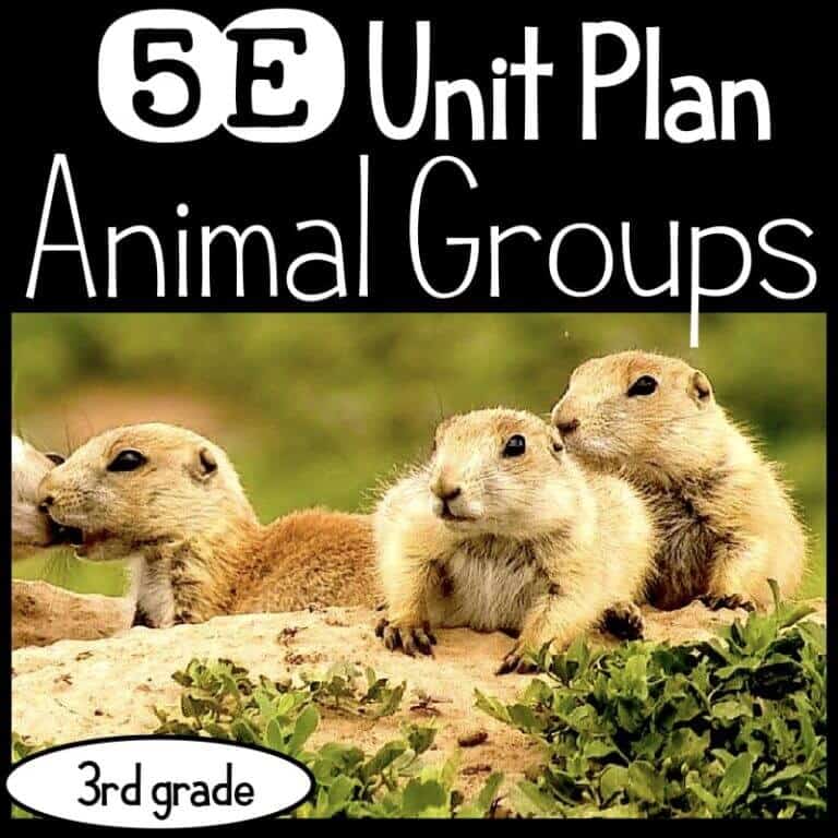 What is the Explanation Phase of the 5E Instructional Model