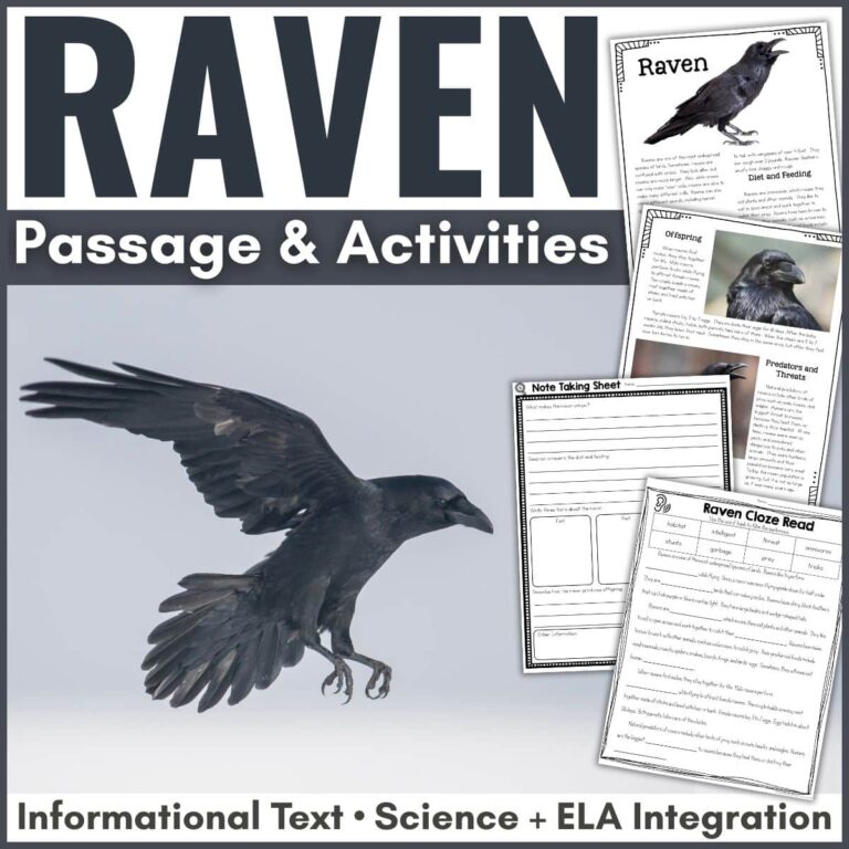 Raven Informational Article and Comprehension Activities