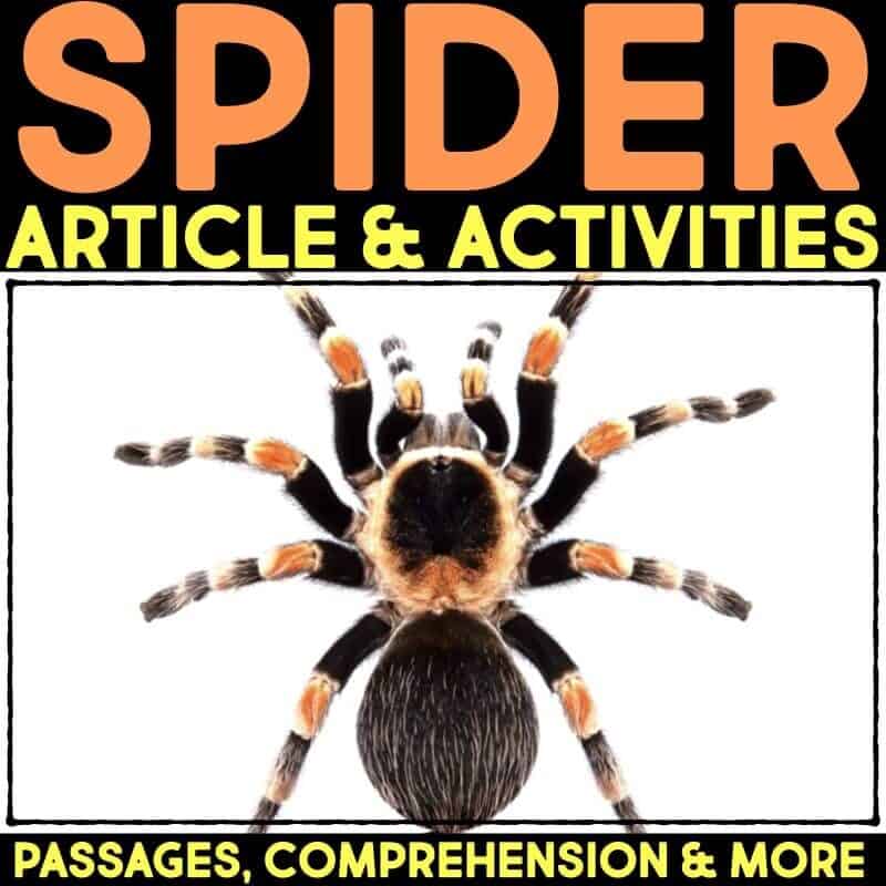 Spider Informational Article and Comprehension Activities