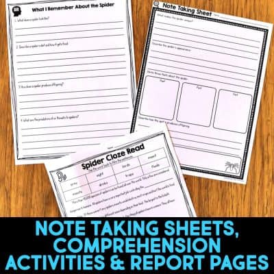 Spider Informational Article and Comprehension Activities