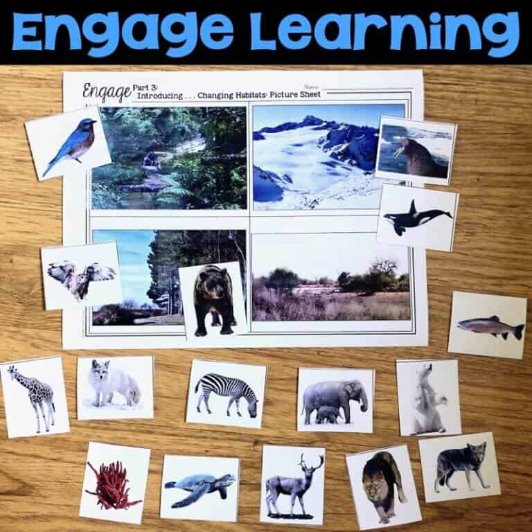 Changing Habitats 5E Science Unit Plan for Third Grade