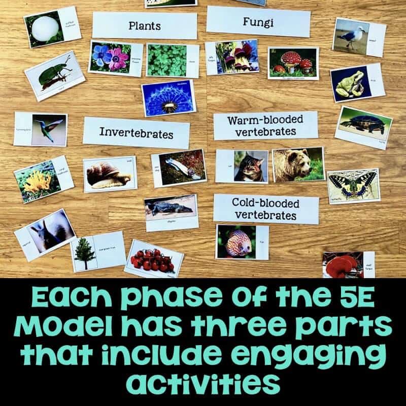 Environment and Traits 5E Unit Plan for Third Grade