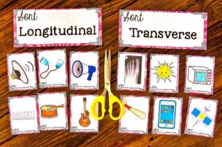 Digital vs Analog Sort for Fourth Grade Science Stations