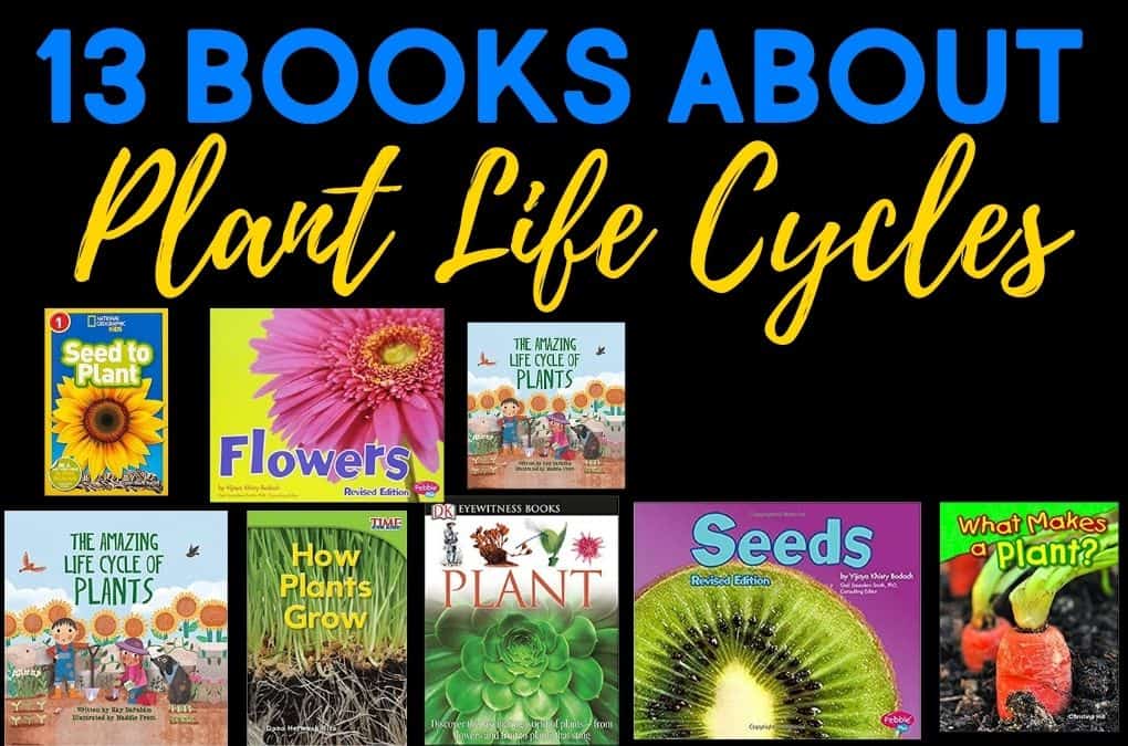 13 Fun And Engaging Plant Life Cycle Books For Elementary Students
