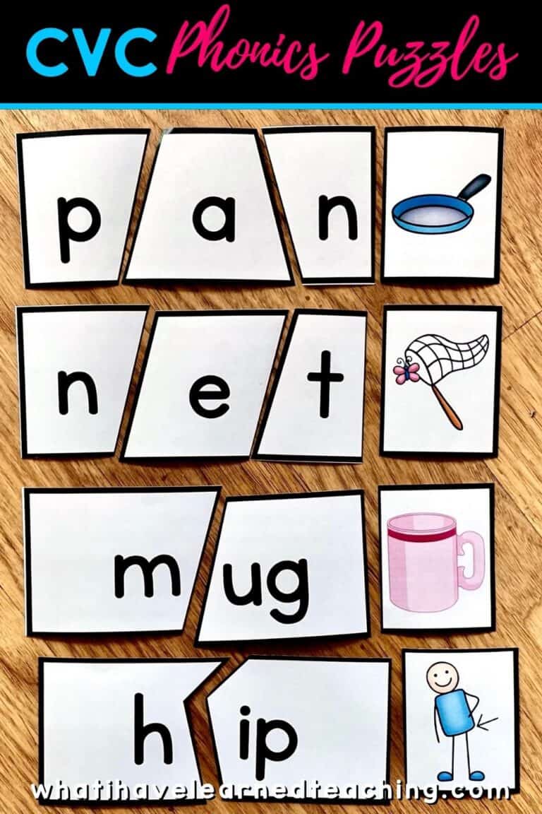 CVC Phonics Puzzles by Sound & by Word Family