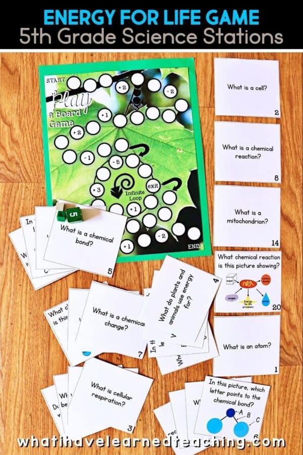 Energy For Life Fifth Grade Science Stations