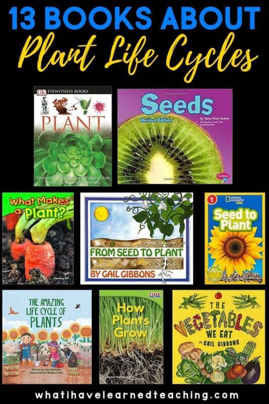 13 Fun And Engaging Plant Life Cycle Books For Elementary Students
