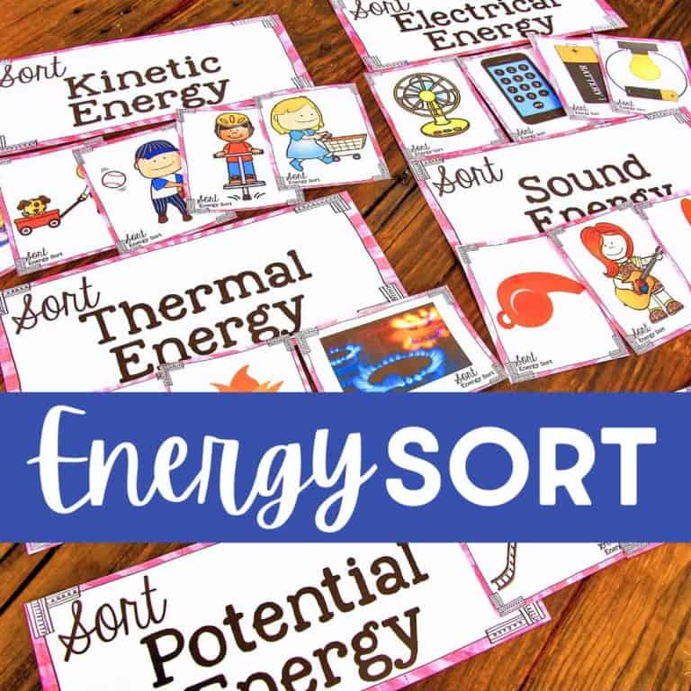 How Sorting Activities Provide Valuable Learning Experiences