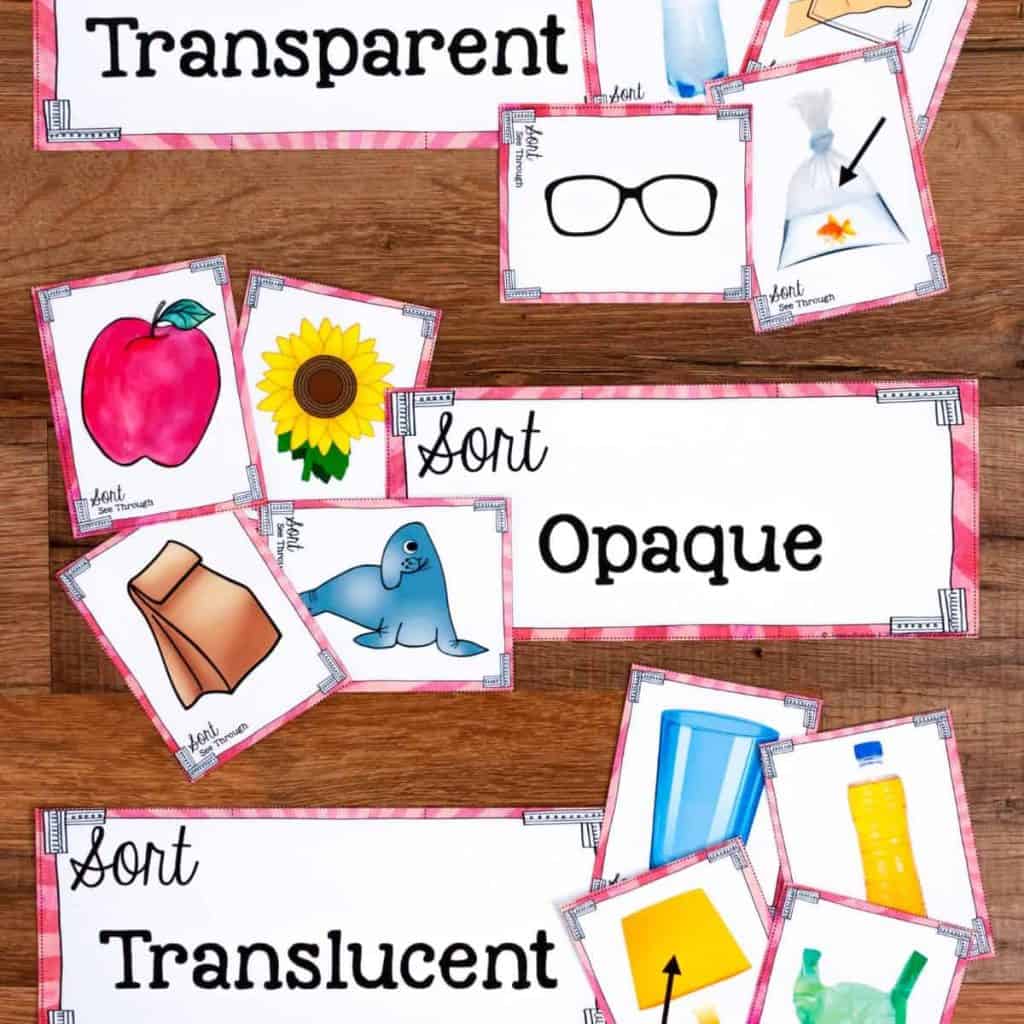 How Sorting Activities Provide Valuable Learning Experiences