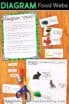 Food Webs Science Activities - 5th Grade NGSS Curriuclum