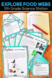 Food Webs Science Activities - 5th Grade NGSS Curriuclum
