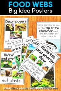 Food Webs Science Activities - 5th Grade NGSS Curriuclum