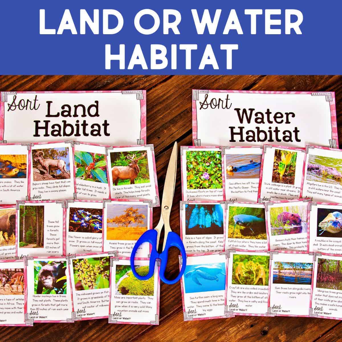 Land and Water Habitats Sort for Second Grade NGSS