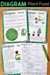 Plant Growth Science Activities for 5th Grade