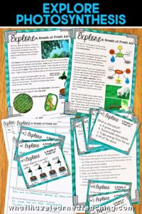 Plant Growth Science Activities for 5th Grade