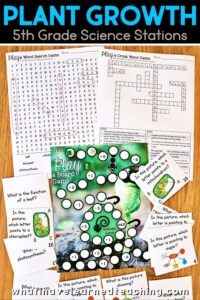 Plant Growth Science Activities for 5th Grade