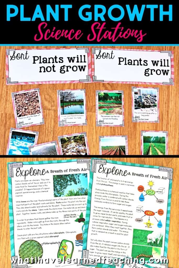 Plant Growth Science Activities for 5th Grade