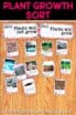 Plant Growth Science Activities for 5th Grade