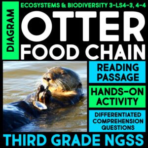 Hands-on Ecosystem Activities for Elementary Students