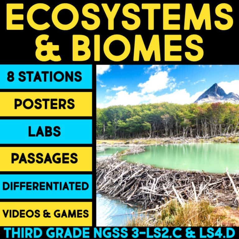 Life Cycles of Plants and Animals - Science Stations for Third Grade