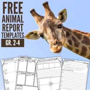 Free Animal Report Template for Elementary Classrooms