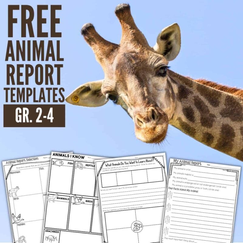 Teach Students to Write Animal Reports - Free Template