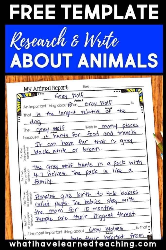 Teach Students to Write Animal Reports - Free Template