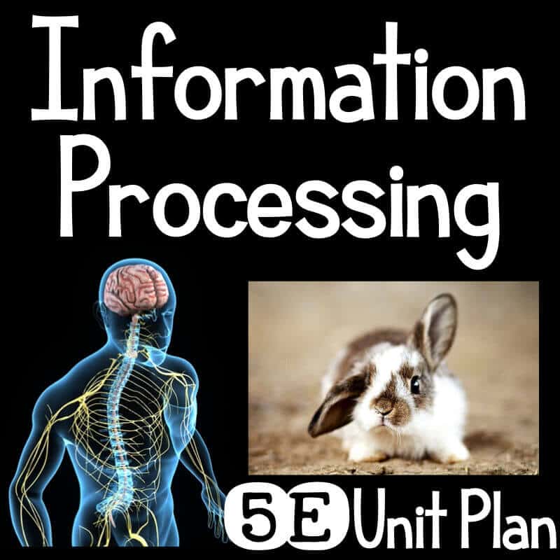 4th Grade 5E NGSS Science Unit Plan BUNDLE