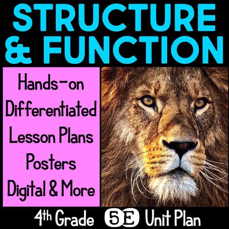 4th Grade 5E NGSS Science Unit Plan BUNDLE