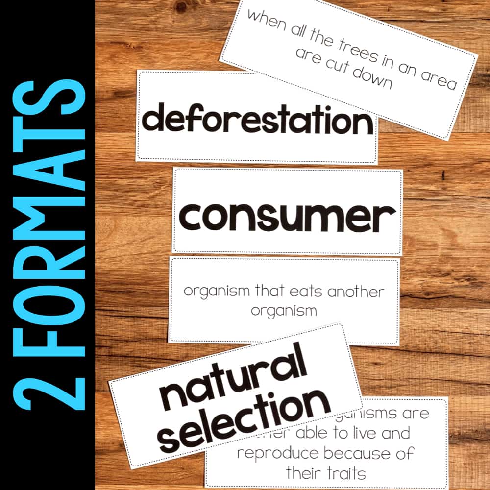 3rd Grade Science Vocabulary Cards & Big Idea Posters for NGSS