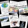 4th Grade Science Vocabulary Cards & Big Idea Posters for NGSS