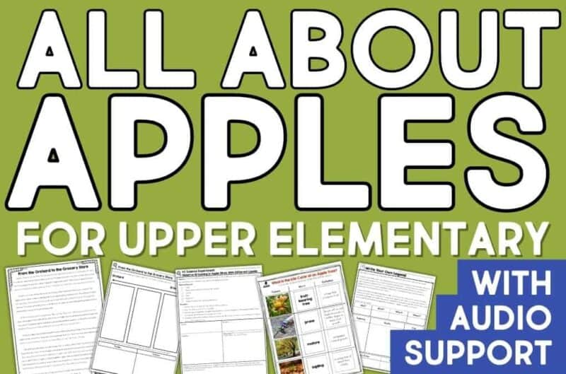 Fall Classroom Activities for Elementary Students