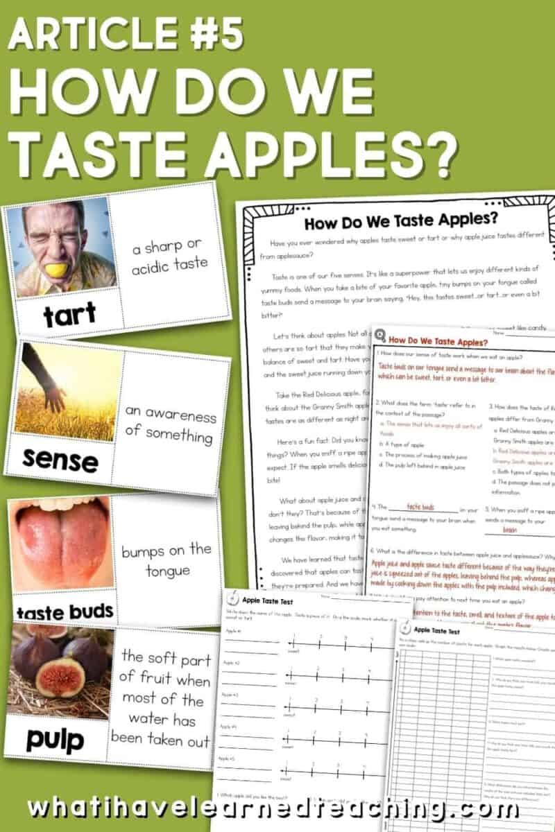 Apple Lesson Plans for 2nd Grade and Above