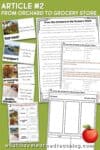 Apple Lesson Plans for 2nd Grade and Above
