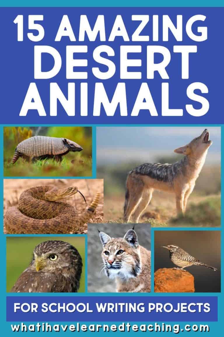 15 Amazing Desert Animals - Reading & Writing Activities