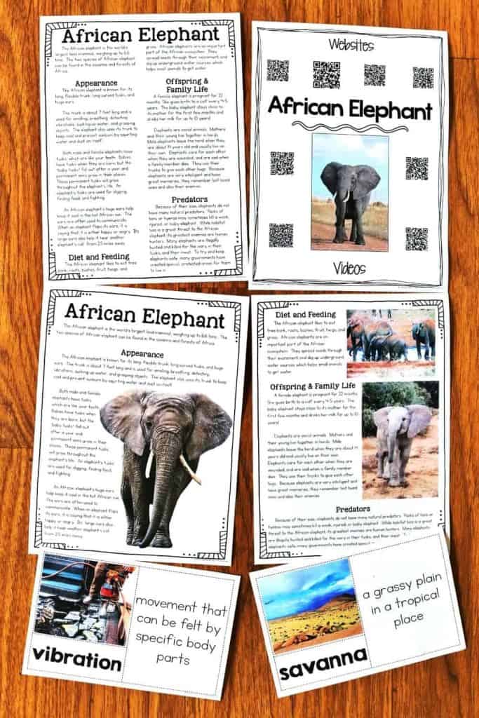 Animal Article Collection