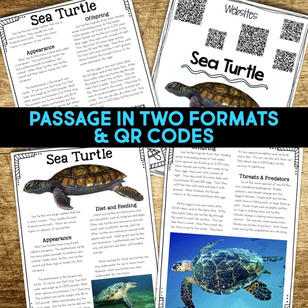 Animal Article Collection