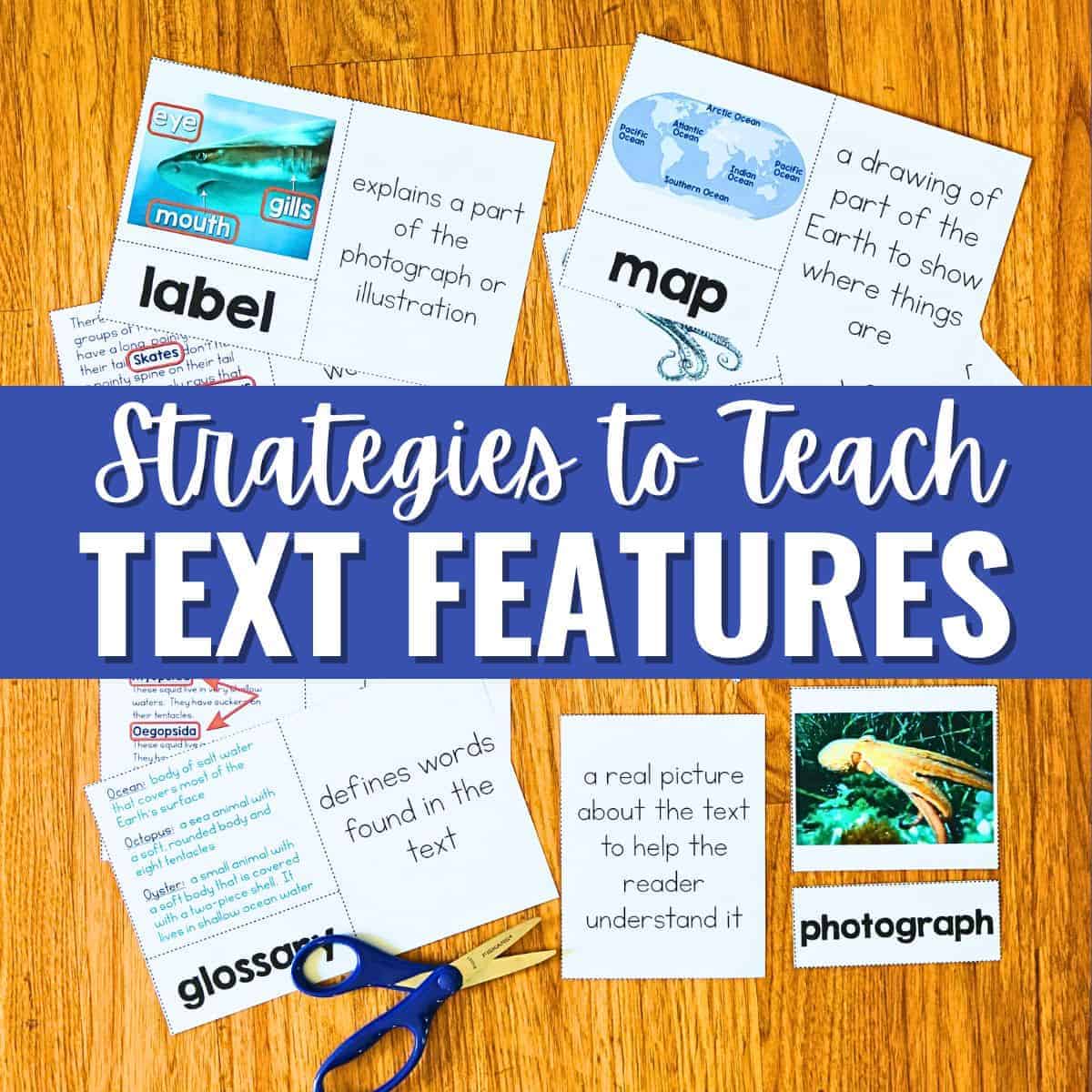 Effective Strategies for Teaching Text Features