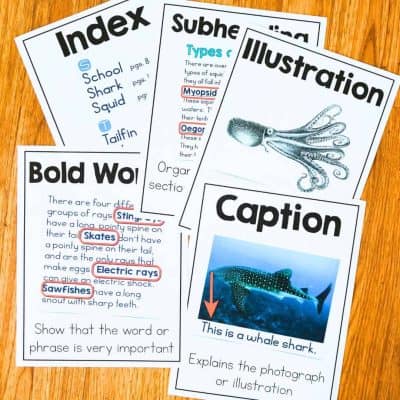Effective Strategies for Teaching Text Features