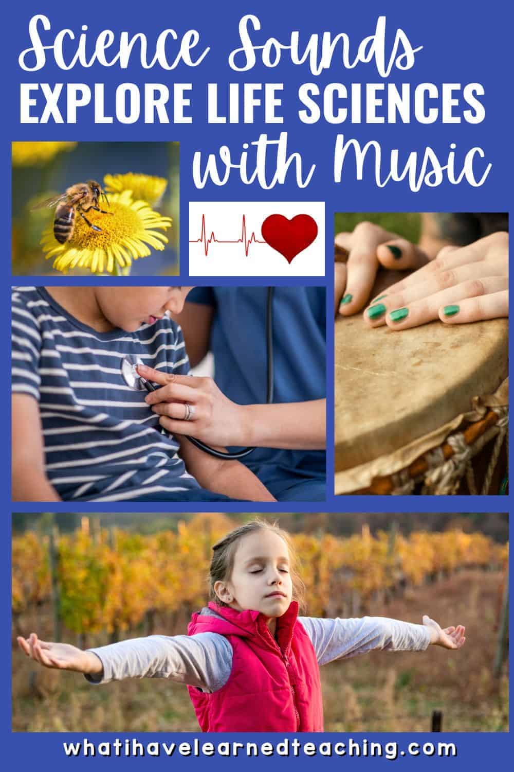 Science Sounds: Explore Life Sciences with Music