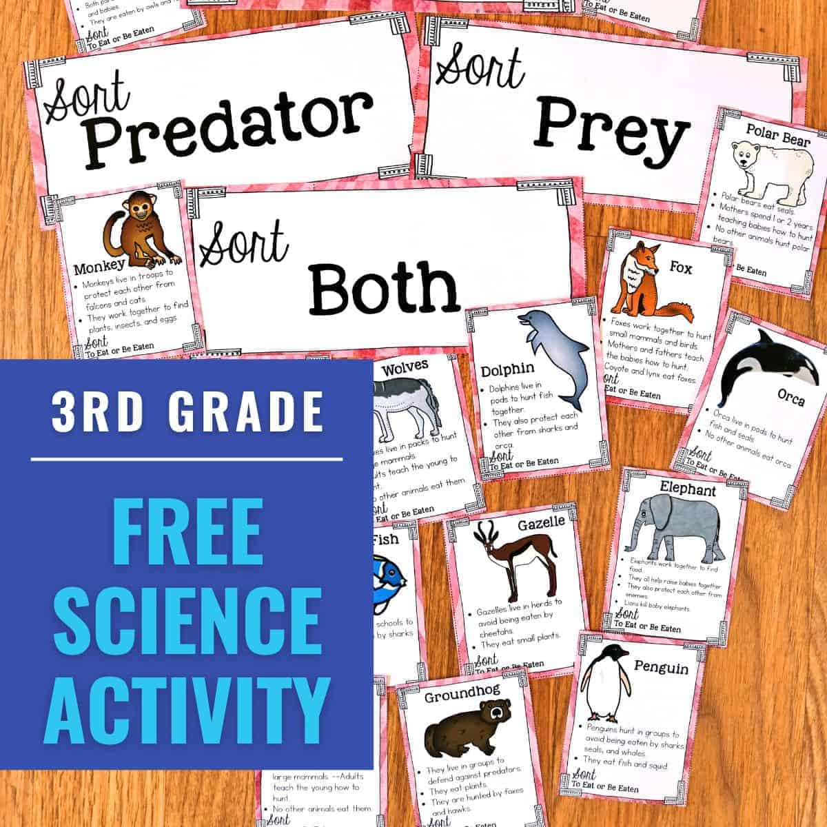 Warm-Blooded Vs. Cold-Blooded Animals Science Sort