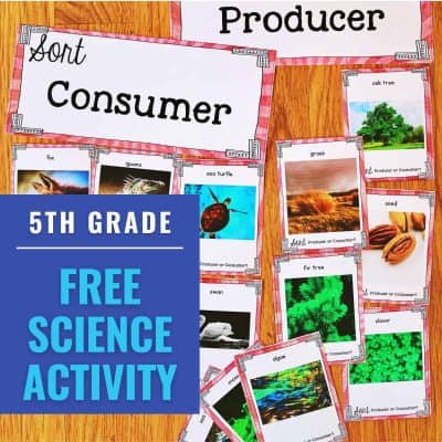 Properties of Matter Science Stations for Fifth Grade