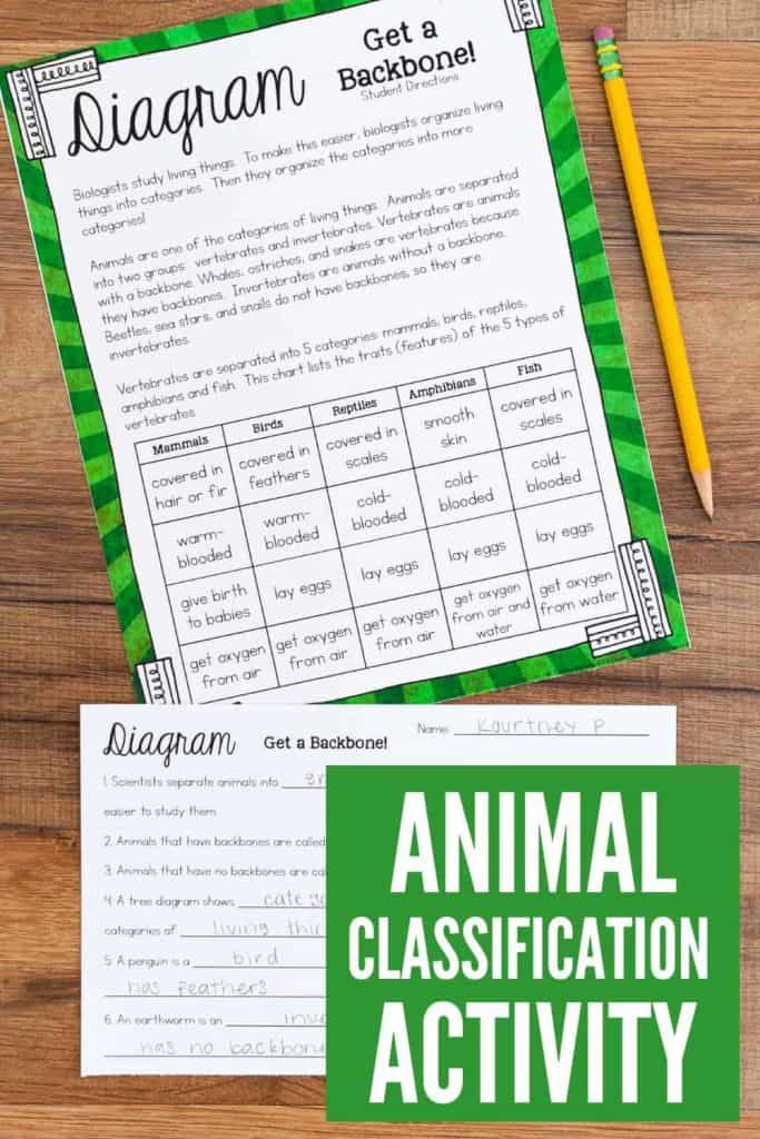Animal Classification Activity for Kids