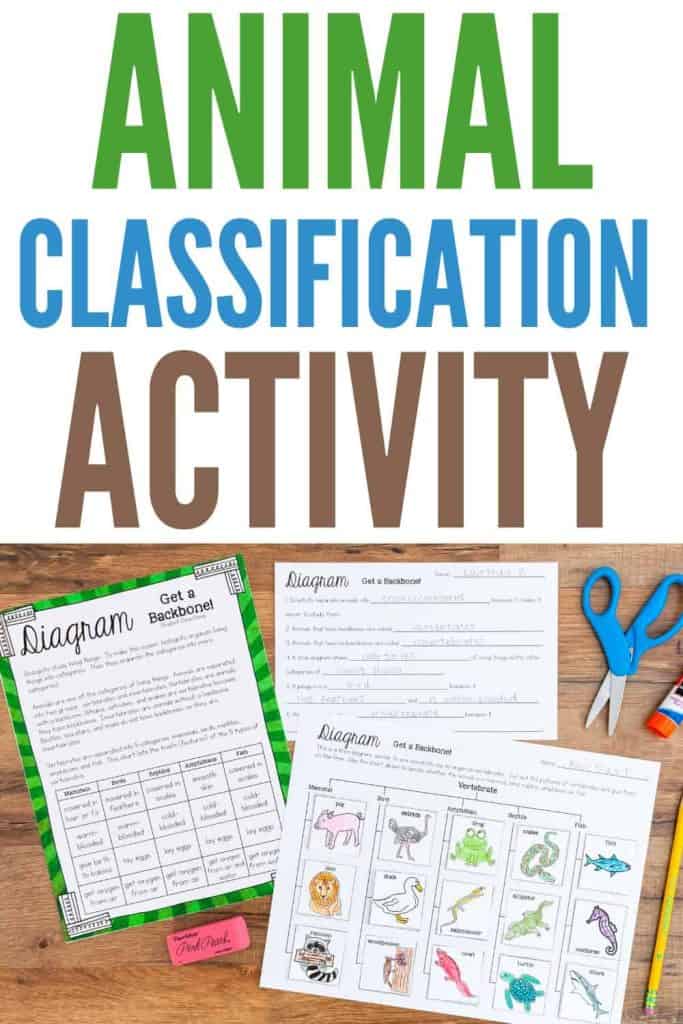 Animal Classification Activity for Kids