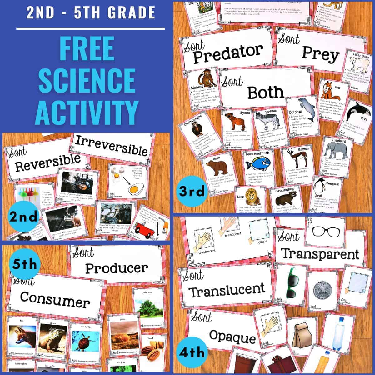Scientific Method Posters & Science Experiment Recording Sheets