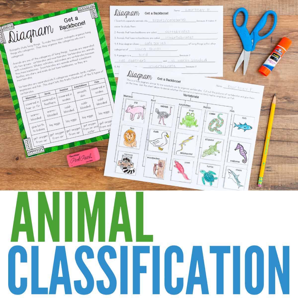 Animal Classification Activity for Kids
