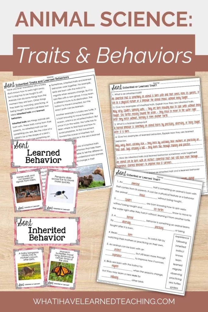 Ideas to Teach Inherited Traits vs. Learned Behaviors