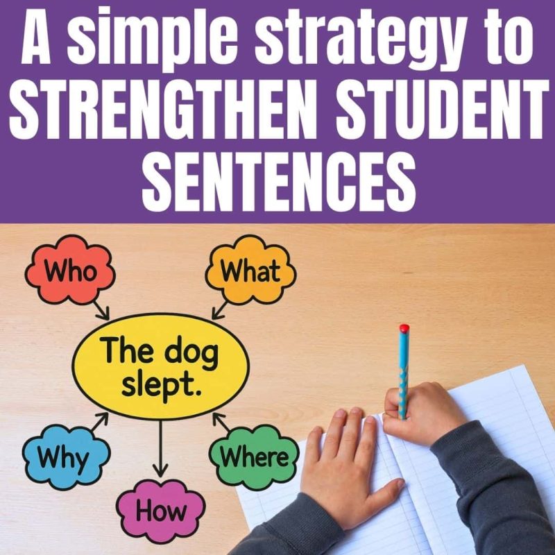 Stretch a Sentence Examples for Students