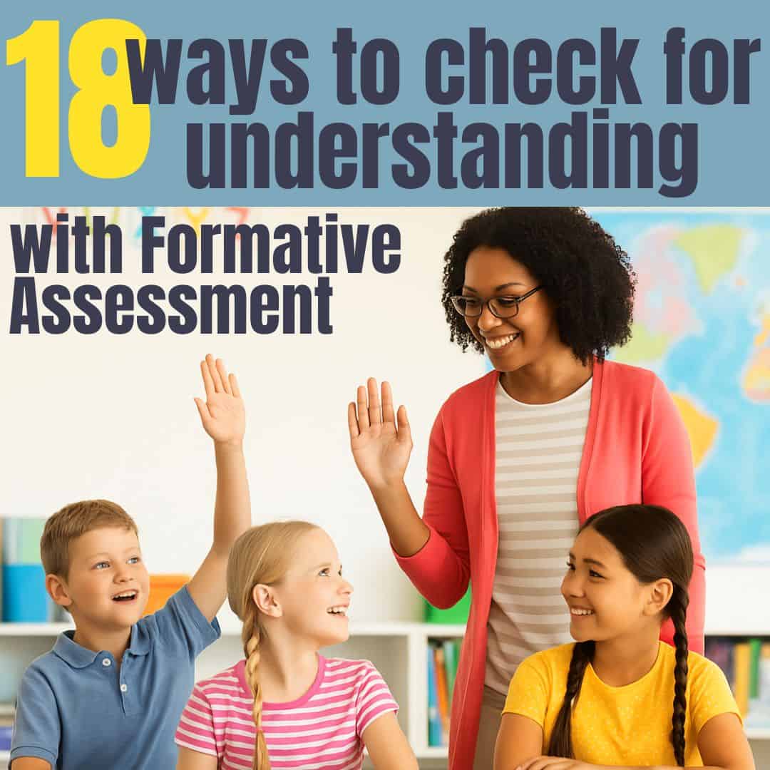 18 Formative Assessment Ideas to Check for Understanding in the ...